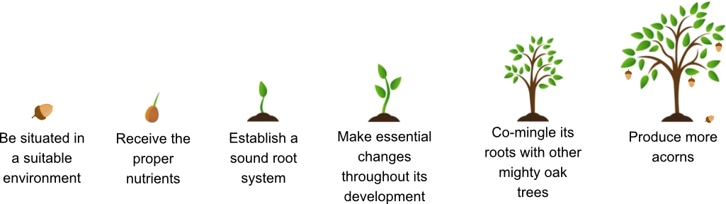 About : Growing Oaks Federal Credit Union